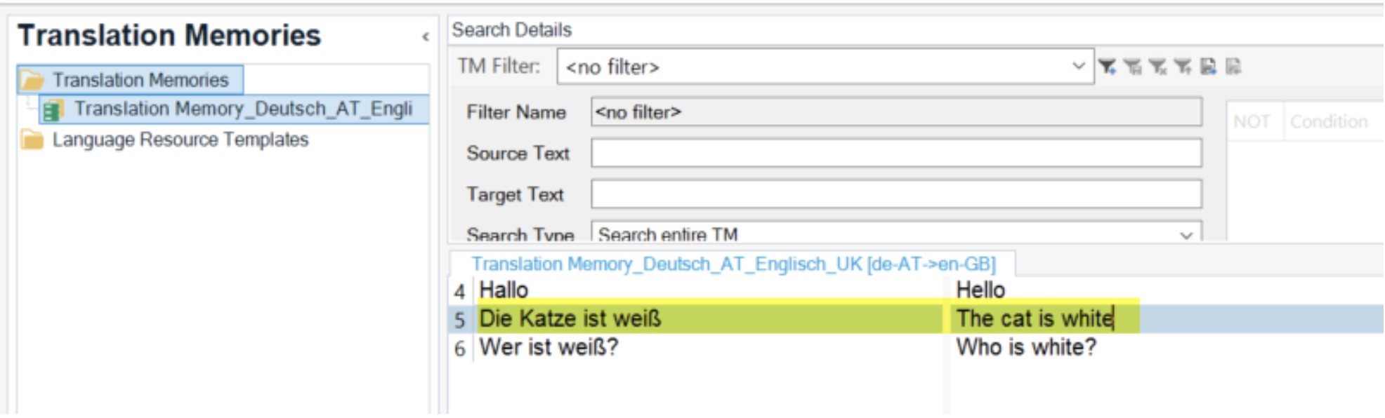 Was ist ein Translation Memory? Infos & Vorteile – Eurocom